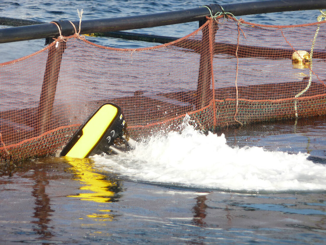 ROV Services | Ocean Farm Services